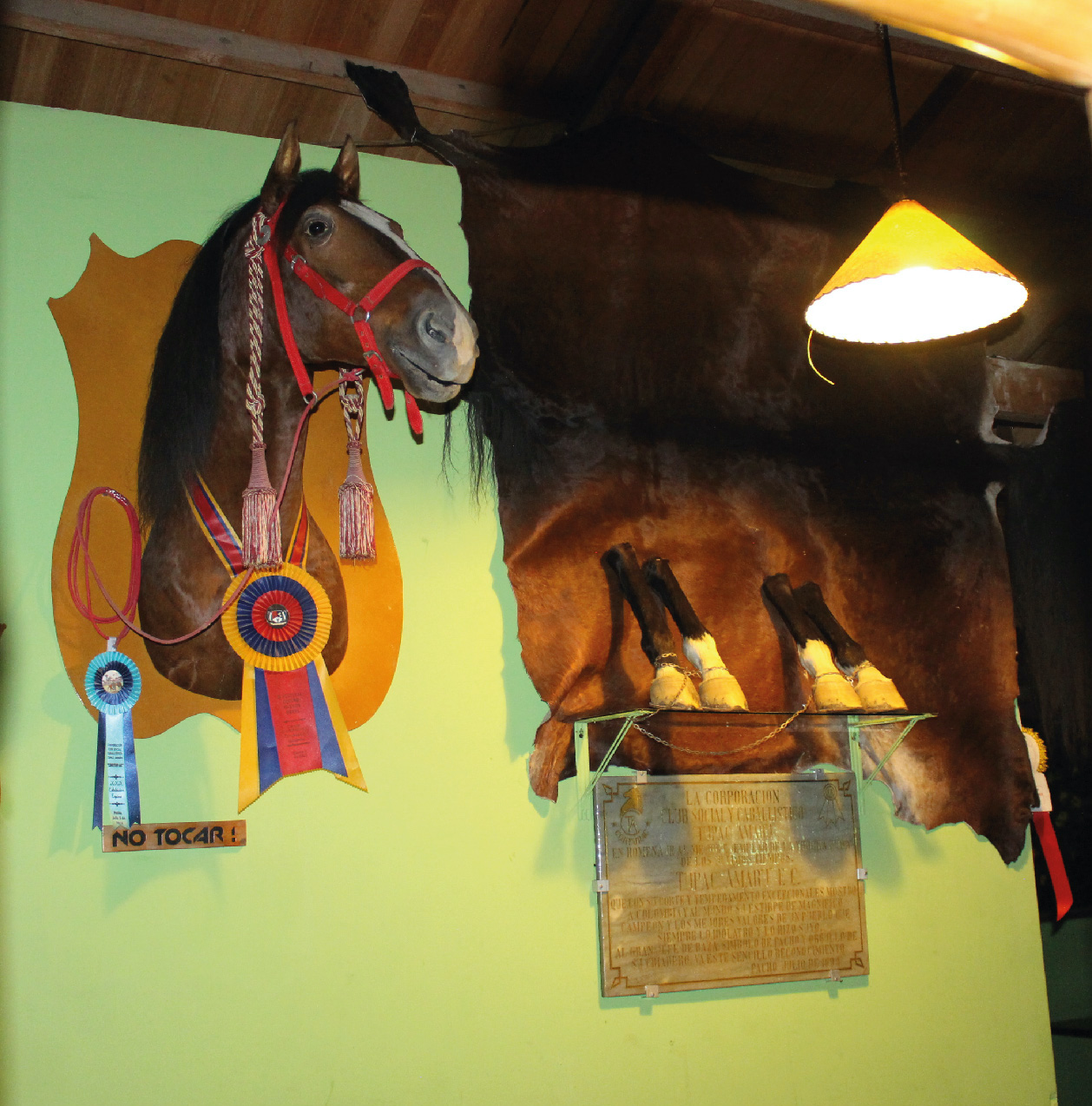 Caballos De Paso Fino De Pablo Escobar